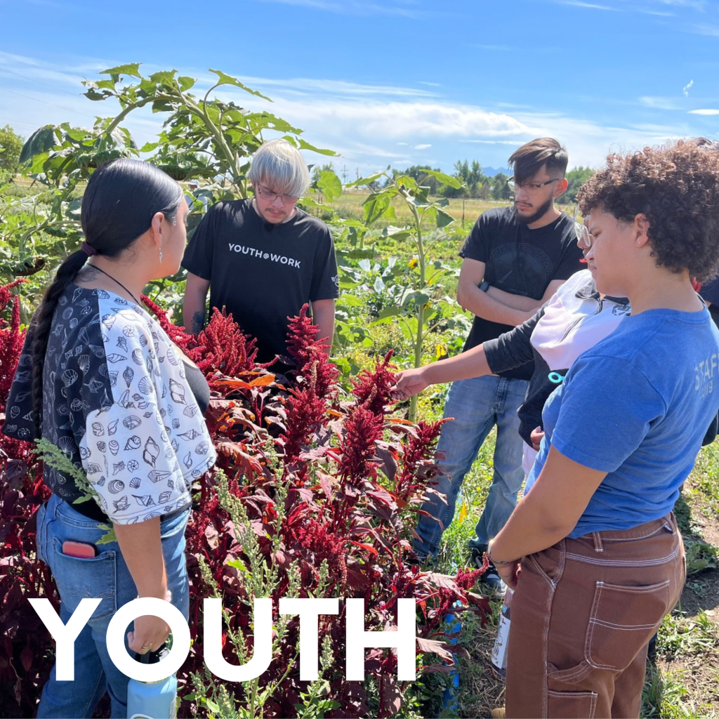 Programs – Groundwork Denver